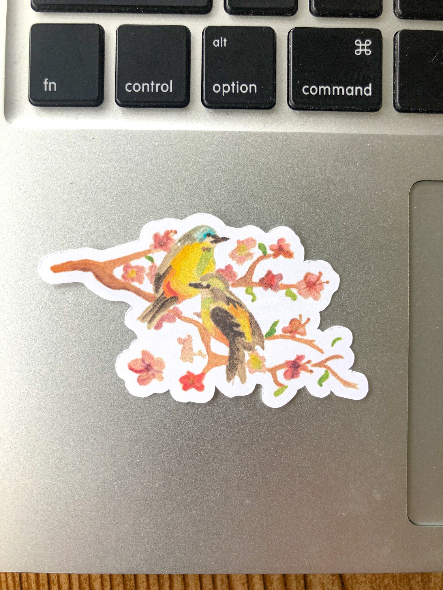 Yellow Bellied Warbler Watercolor Sticker Yellow Bellied | Etsy