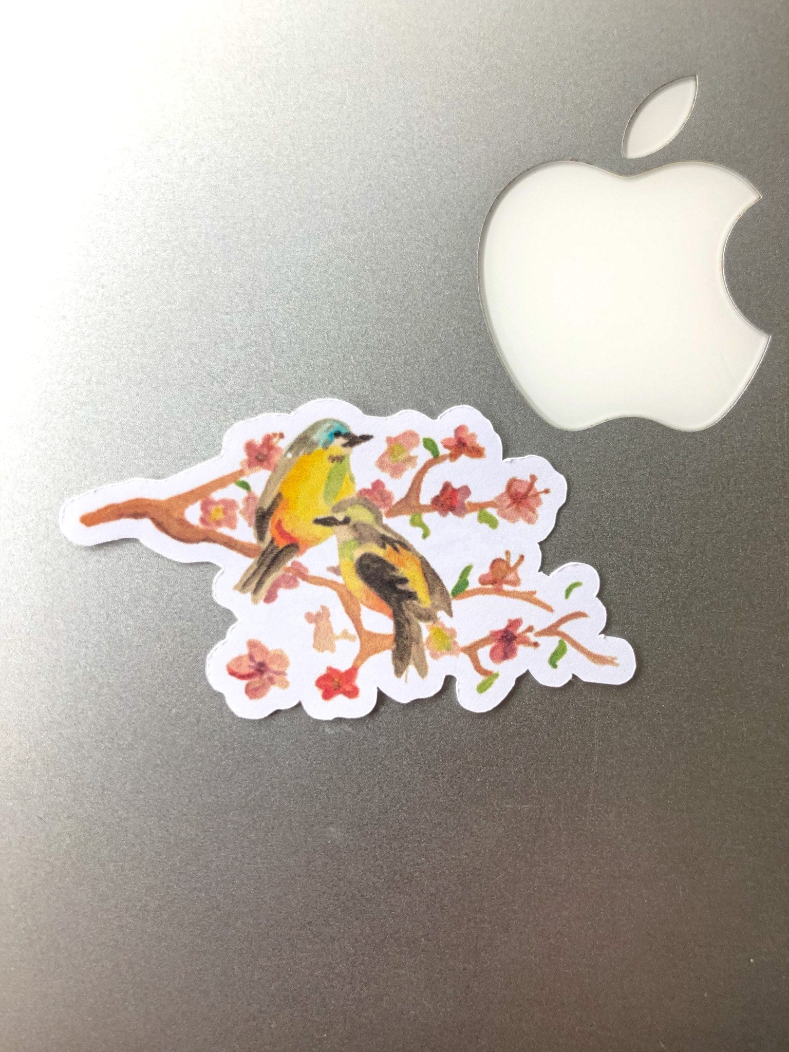 Yellow Bellied Warbler Watercolor Sticker Yellow Bellied | Etsy