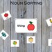 Noun Sorting, Nouns Flashcards, Matching and Grouping Activity, Noun ...