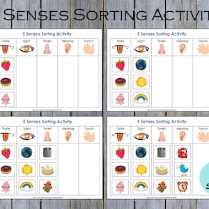 Five Senses Sorting Activity Printable, 5 Senses Practice Sheet, Busy ...
