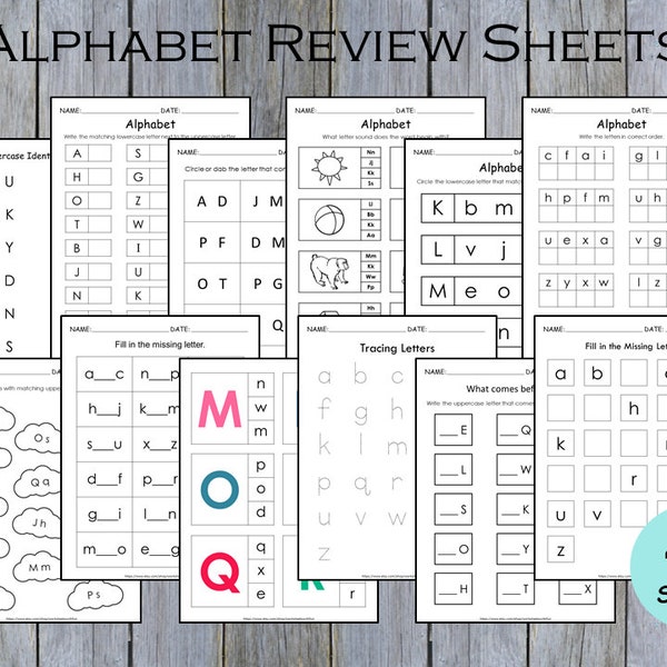 Preschool Assessment - Etsy