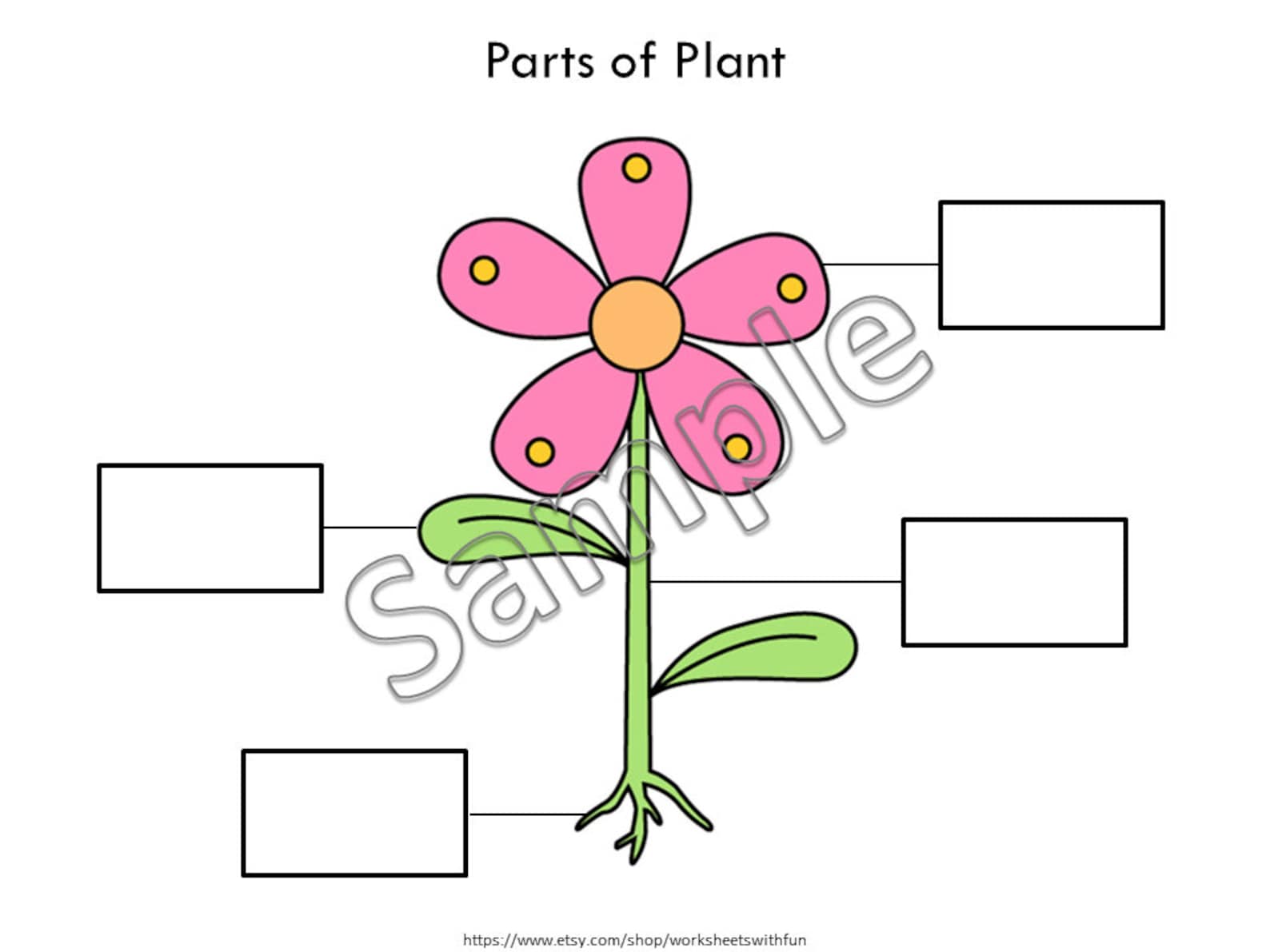 Parts of a Plant, Types of Plant Busy Book, Plant Unit Printable ...
