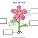 Parts of a Plant, Types of Plant Busy Book, Plant Unit Printable ...