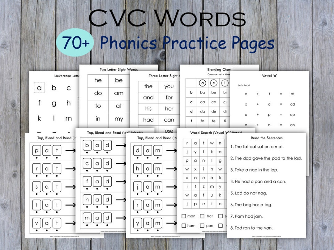 CVC Words Worksheets, Phonics Book, Words Family Busy Book, Sight Words ...