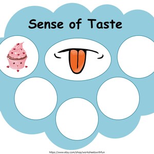 Five Senses Sorting Activity, Senses Matching Worksheet, Toddler Busy ...