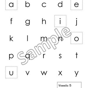 CVC Words Worksheets, Phonics Book, Words Family Busy Book, Sight Words ...
