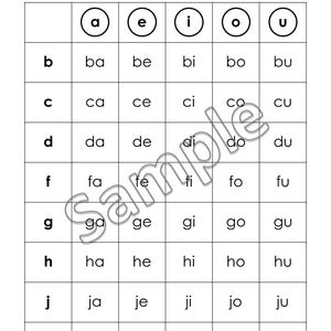 CVC Words Worksheets, Phonics Book, Words Family Busy Book, Sight Words ...