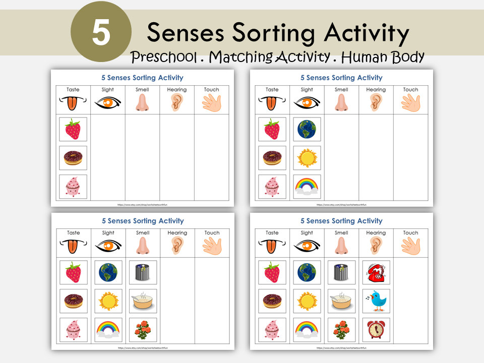 Five Senses Sorting Activity: Preschool Science Learning (PDF Download ...