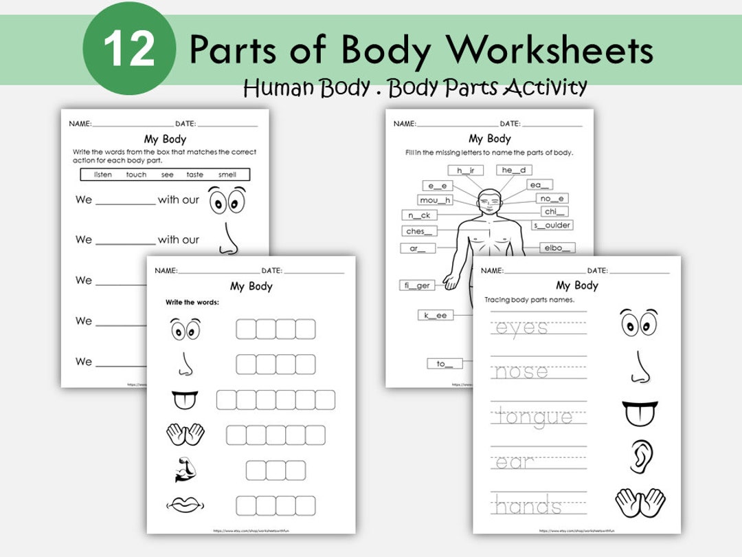 Body Parts Worksheets, Preschool Printable, Kindergarten Human Body ...