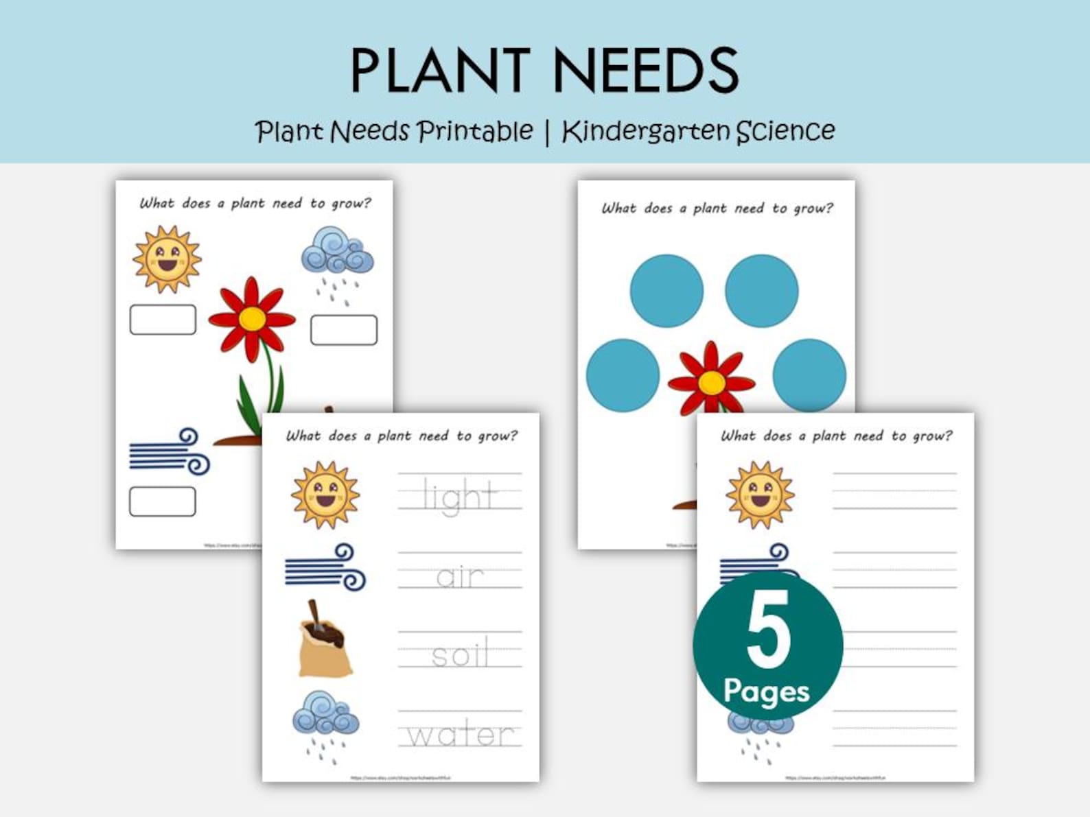 Plant Needs Printable Worksheet Pack, What Plants Need to Grow ...