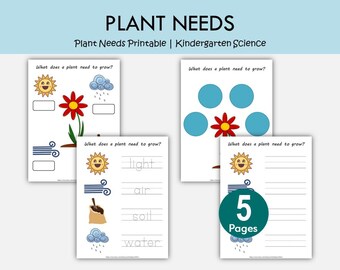 Parts of a Plant Worksheet/ Science Printable for Kids/ Preschool and ...
