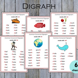 Phonics Diagraph Cards Printable, Kindergarten Common Consonant ...