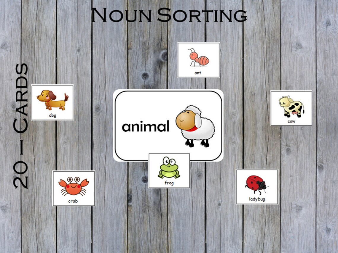 Noun Sorting Nouns Flashcards Matching and Grouping - Etsy