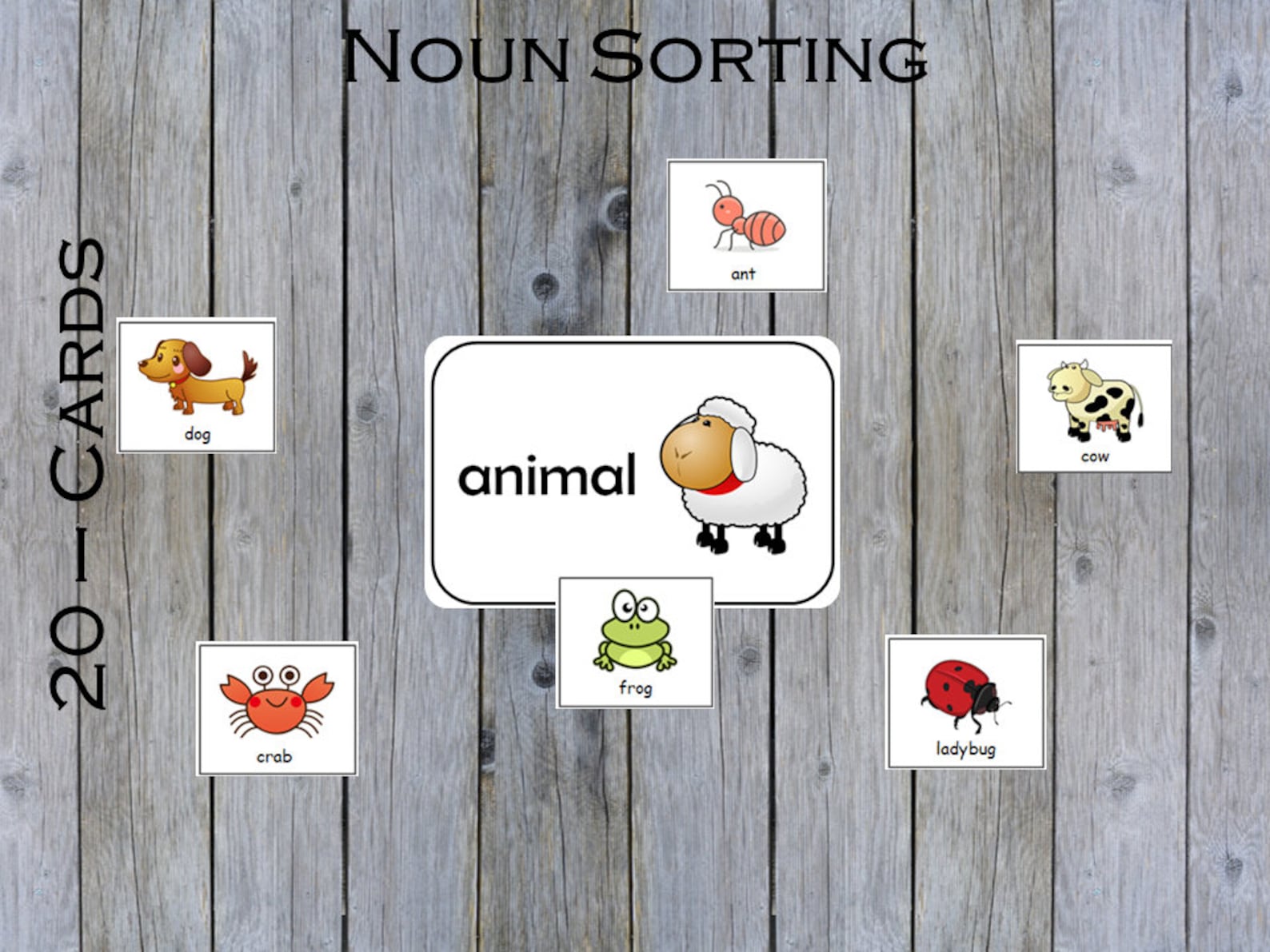 Noun Sorting Nouns Flashcards Matching and Grouping - Etsy UK