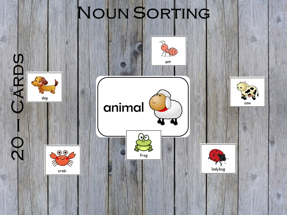 Noun Sorting Nouns Flashcards Matching and Grouping - Etsy
