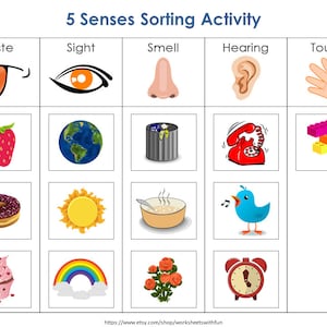 Five Senses Sorting Activity Printable | Preschool Science Center ...