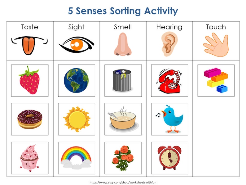 Five Senses Sorting Activity Printable 5 Senses Practice - Etsy Canada