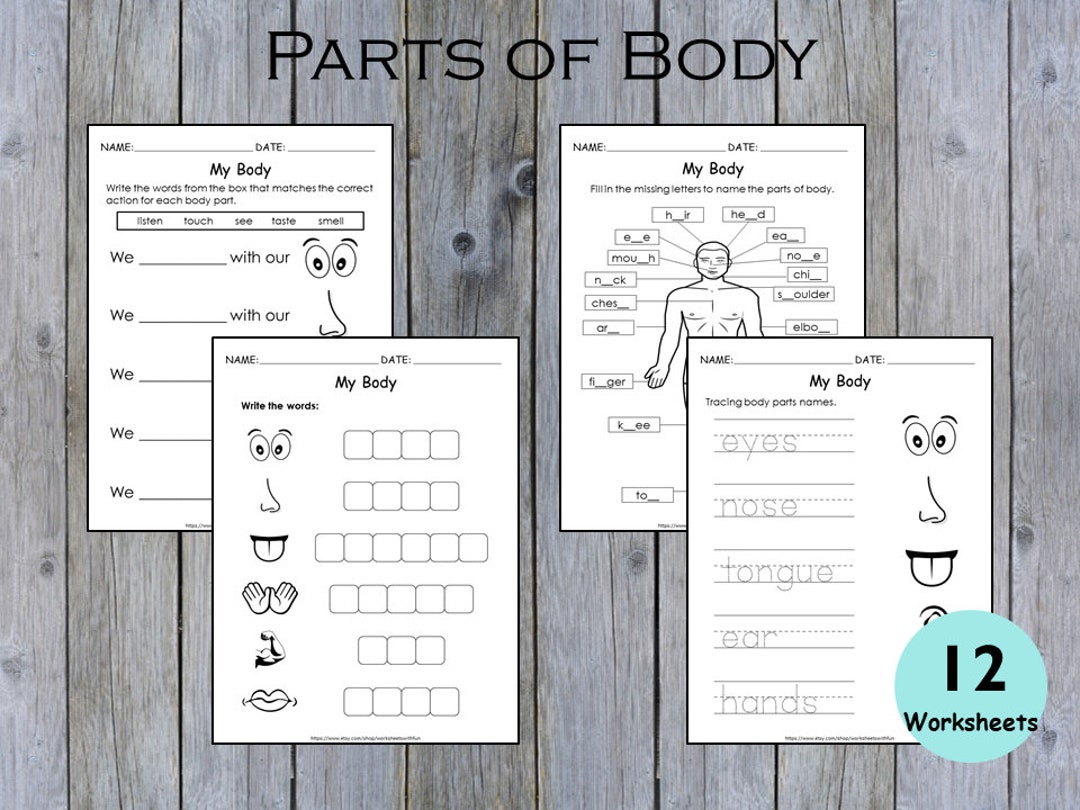 Body Parts Worksheets, Preschool Printable, Kindergarten Human Body ...