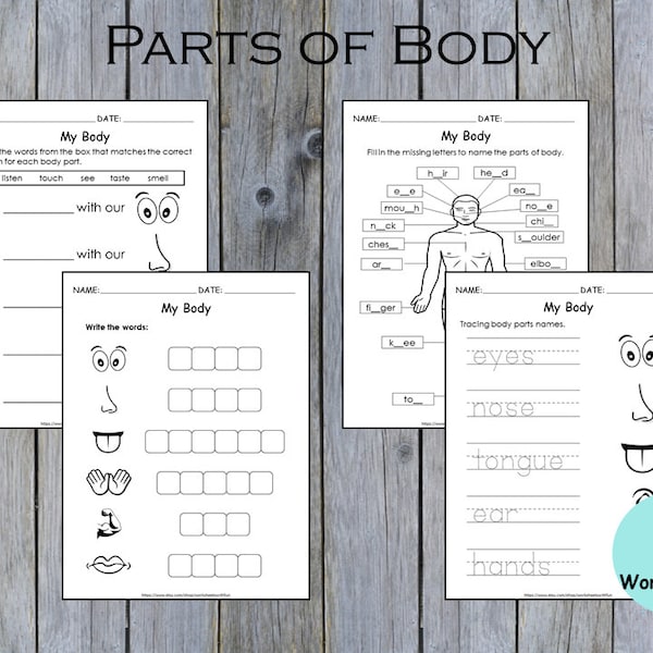 Body Parts Worksheets - Etsy