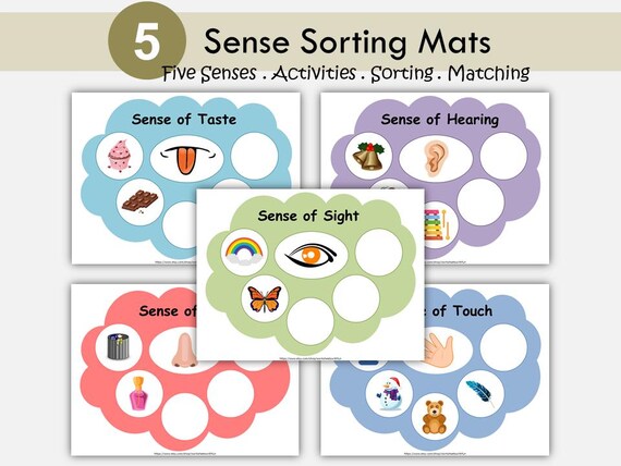 Five Senses Sorting Worksheet