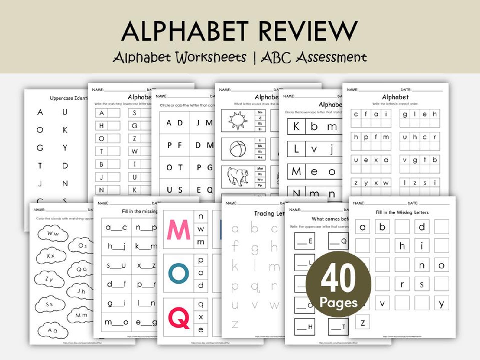 Alphabet Review and Assessment Worksheets | 40 Printable ABC Activities ...
