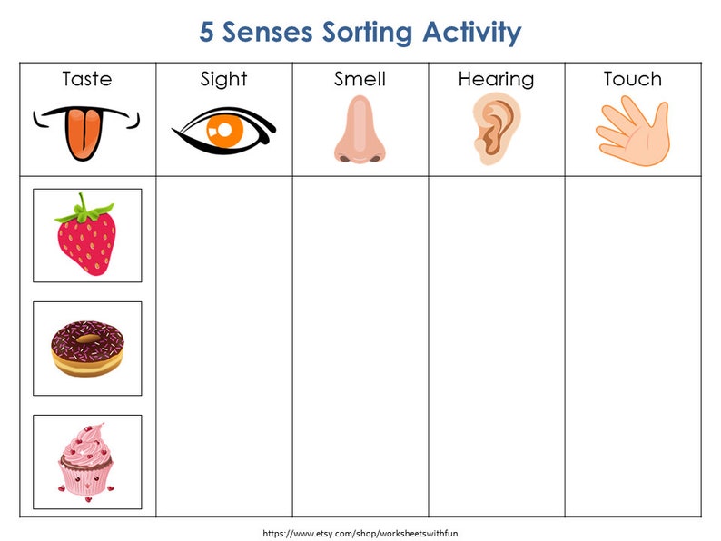 Five Senses Sorting Activity Printable 5 Senses Practice Etsy