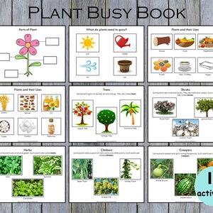 Parts of a Plant, Types of Plant Busy Book, Plant Unit Printable ...