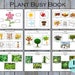 Parts of a Plant, Types of Plant Busy Book, Plant Unit Printable ...