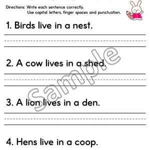 Sentence Writing Practice Worksheets: Kindergarten & 1st Grade (PDF ...
