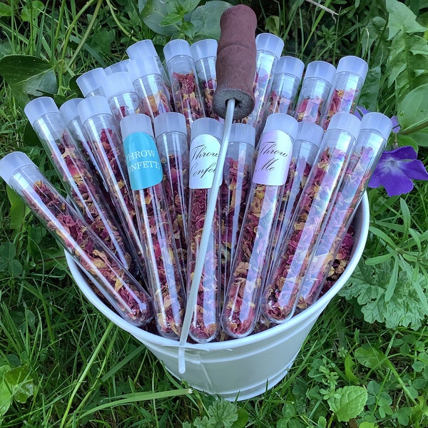 Biodegradable - Etsy