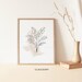 Botanical Line Drawing, Boho Line Art, Leaf Printable Wall Art ...