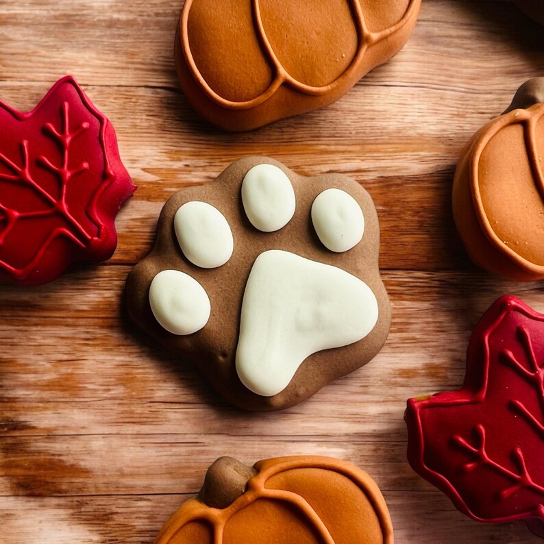 Fall Mini Trail Mix Gourmet Dog Treats | Fall Dog Treats | Organic Dog ...