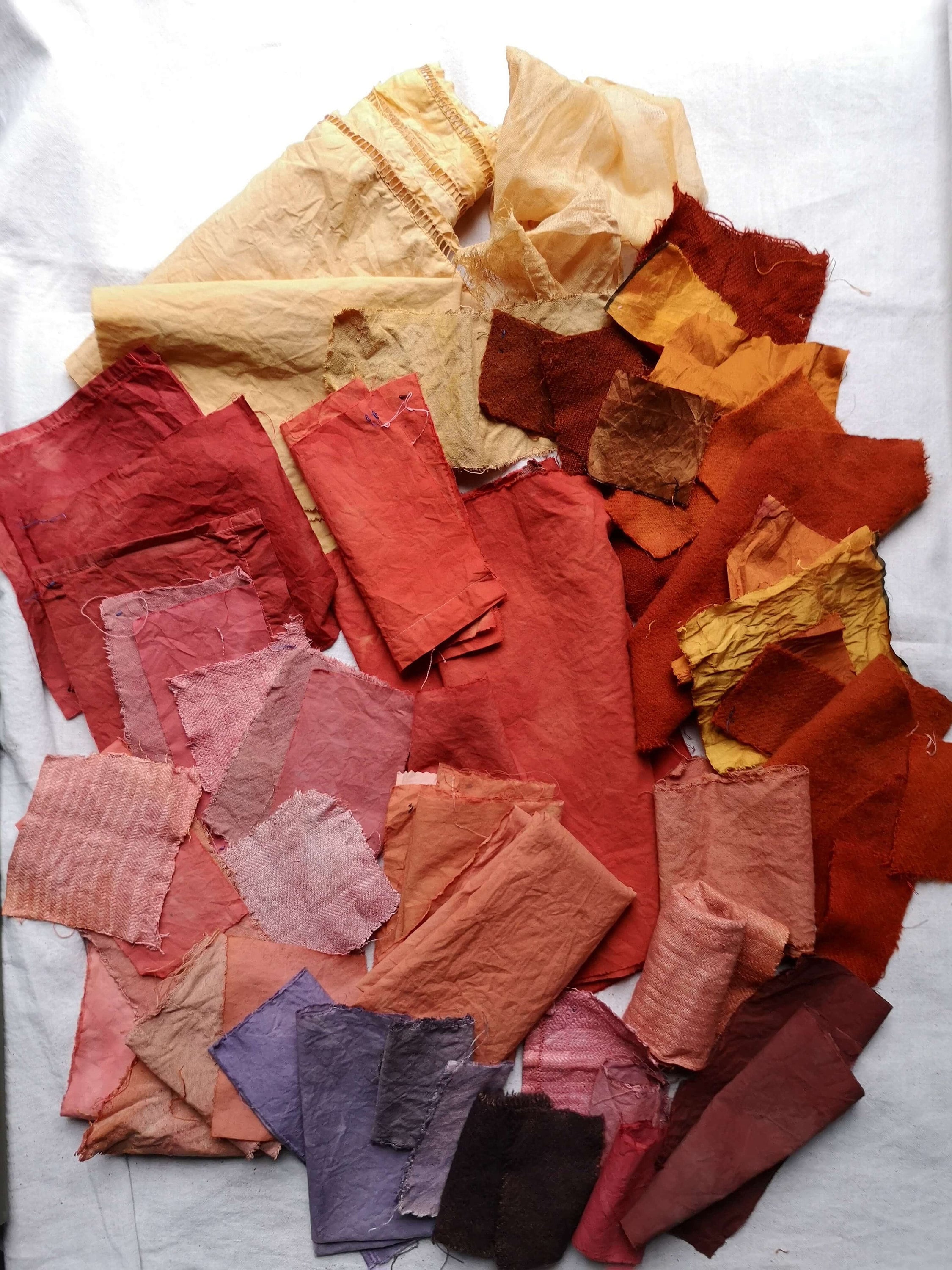 Ground Dried Madder Root - Natural Dyes - Rubia Tinctorum - Natural Dye ...