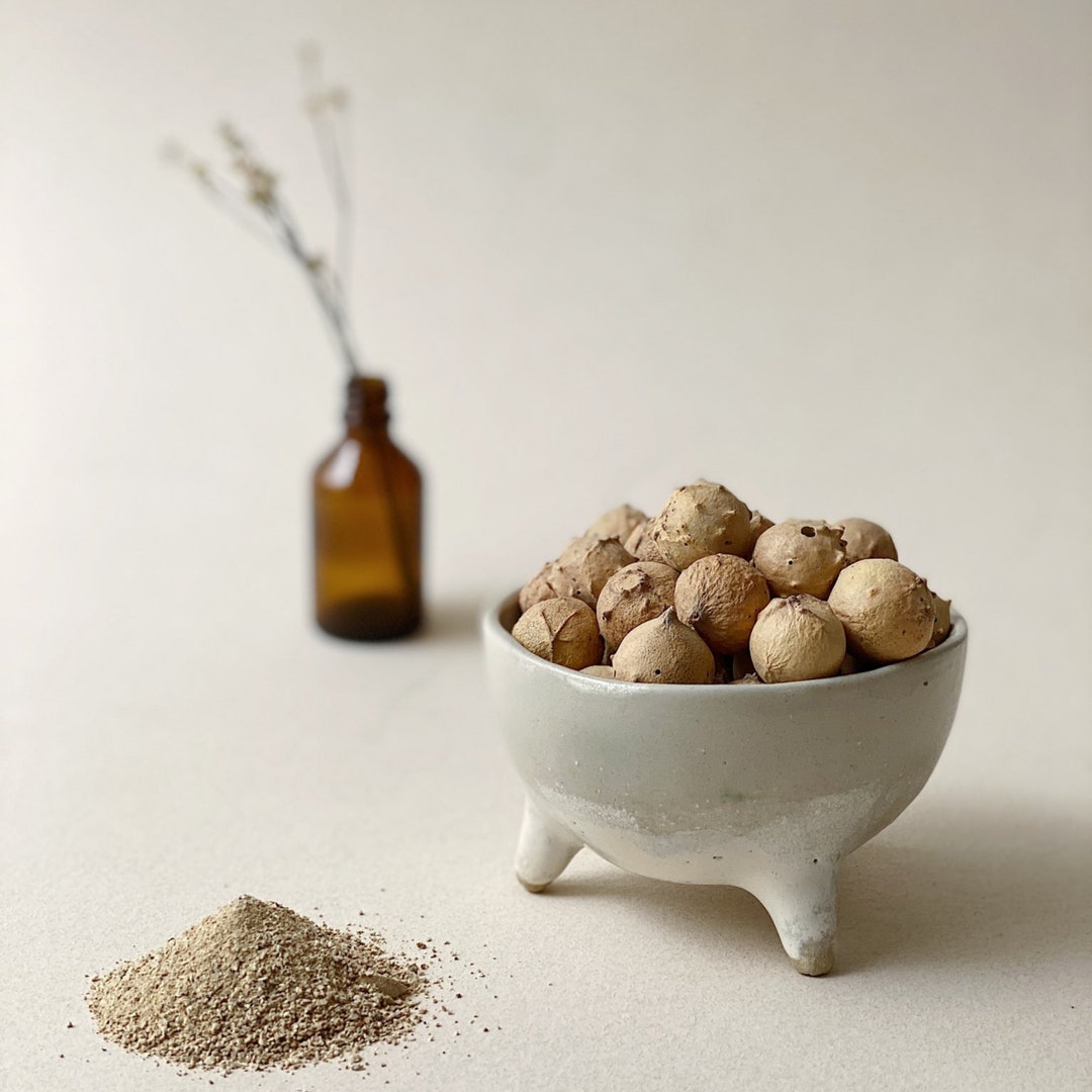 Oak Gallnut Extract: Natural Dye, Ink & Leather Tanning Supply - Etsy