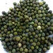 2.2 Lbs (1 Kg) Organic Aleppo Oak Gallnuts for Natural Dyeing, Ink ...