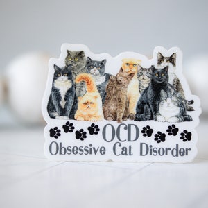 OCD Obsessive Cat Disorder Vinyl Sticker: Funny Cat Mom Decal - Etsy