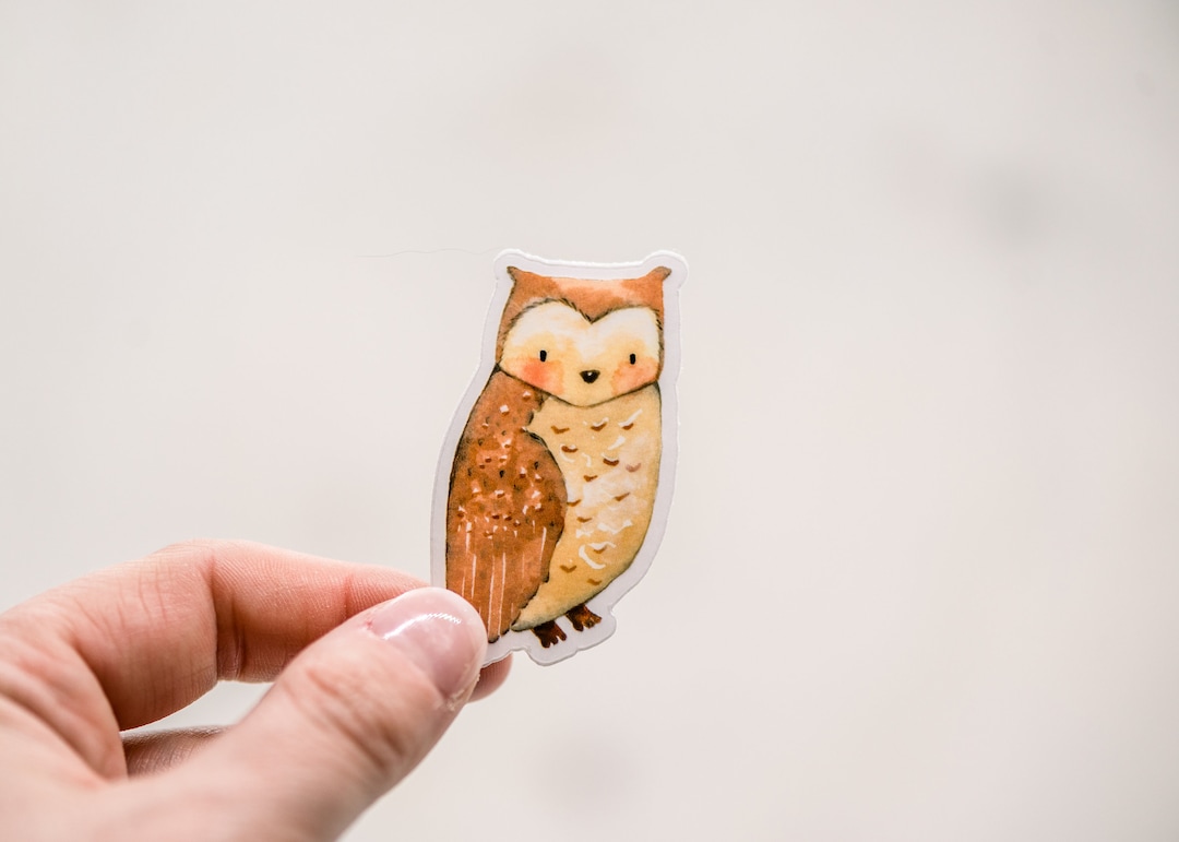 Owl Vinyl Sticker, Little Owl Decal, Waterproof Sticker, Wholesale ...