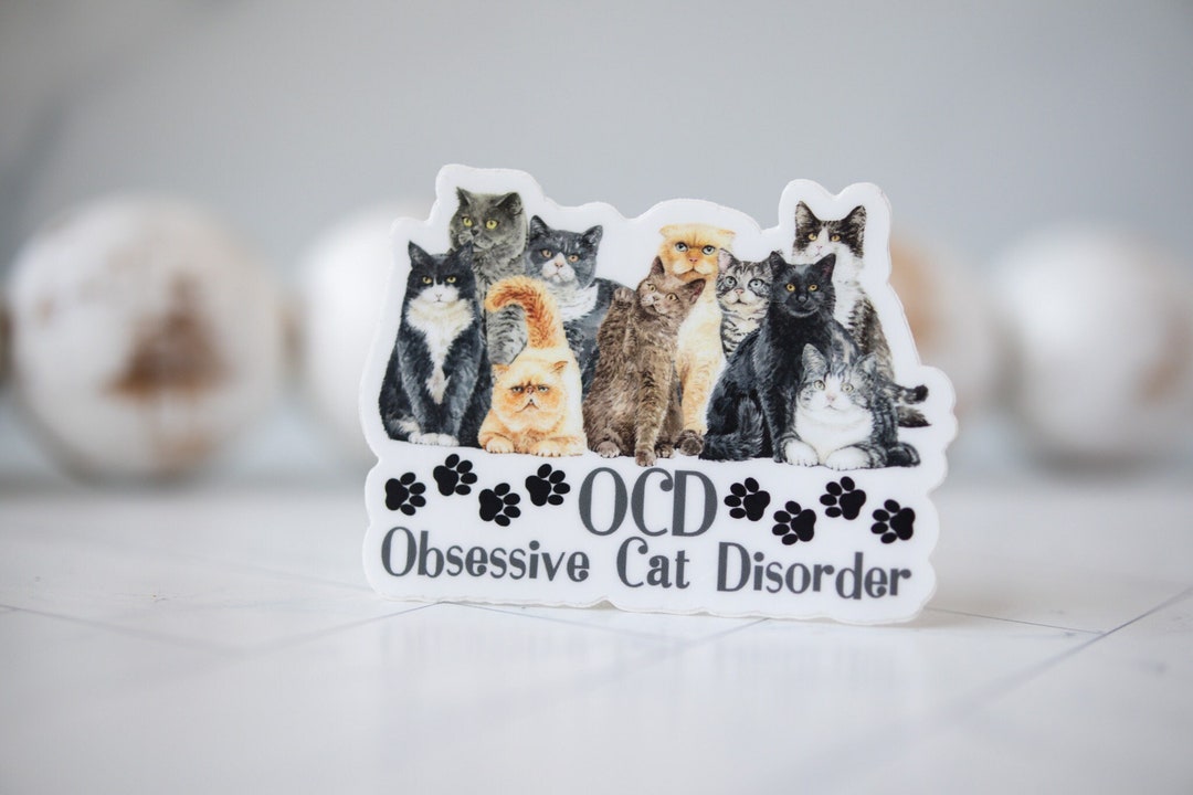 OCD Obsessive Cat Disorder Vinyl Sticker: Funny Cat Mom Decal - Etsy