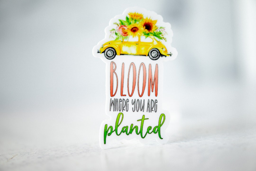 Bloom Where You Are Planted, Floral Sticker, Plant Sticker, Spring ...