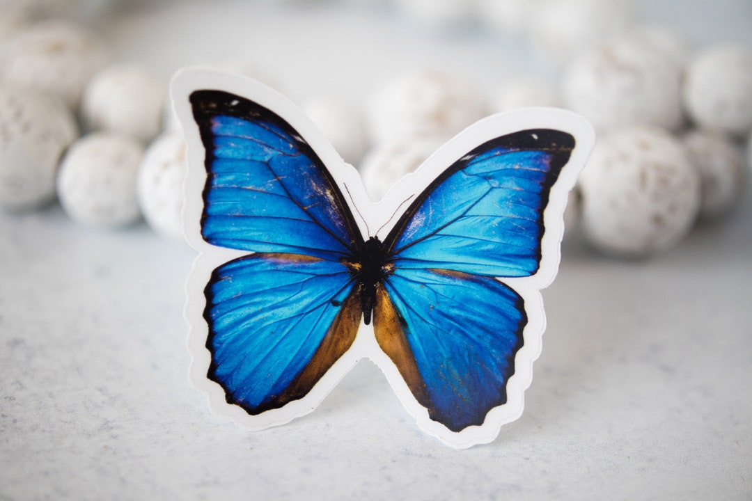 Blue Butterfly Sticker, Clear Laptop Decal, Die Cut Sticker, Water ...