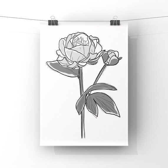 Single Stem Rose Drawing