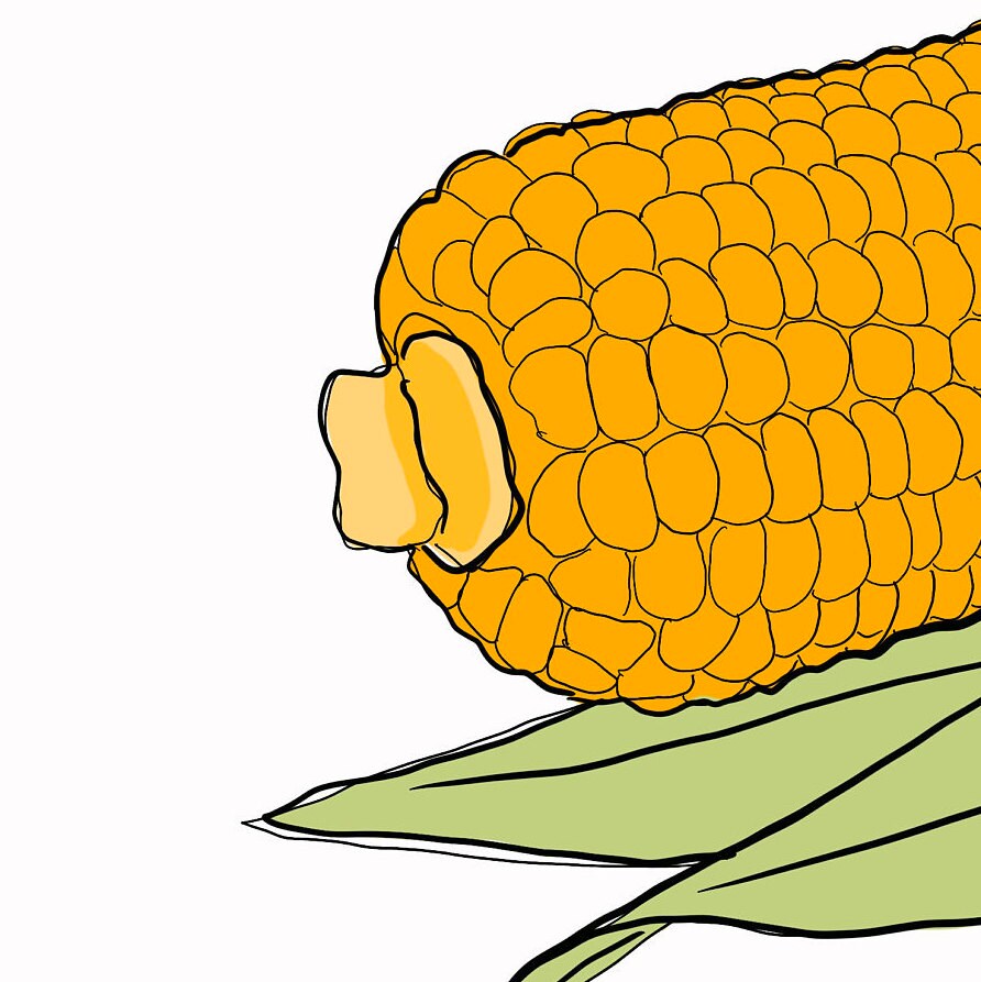 Sweetcorn Print, Vegetable Print, Kitchen Wall Art PRINTED WITH FRAME ...