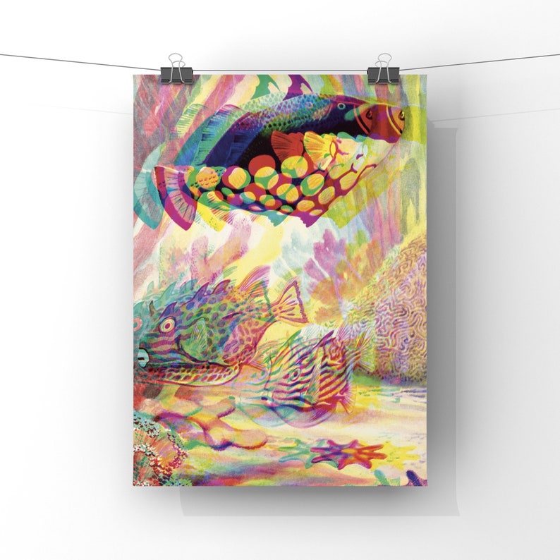 Tropical Fish Colourful Chromatic Shift Poster Print PRINTED WITH FRAME ...