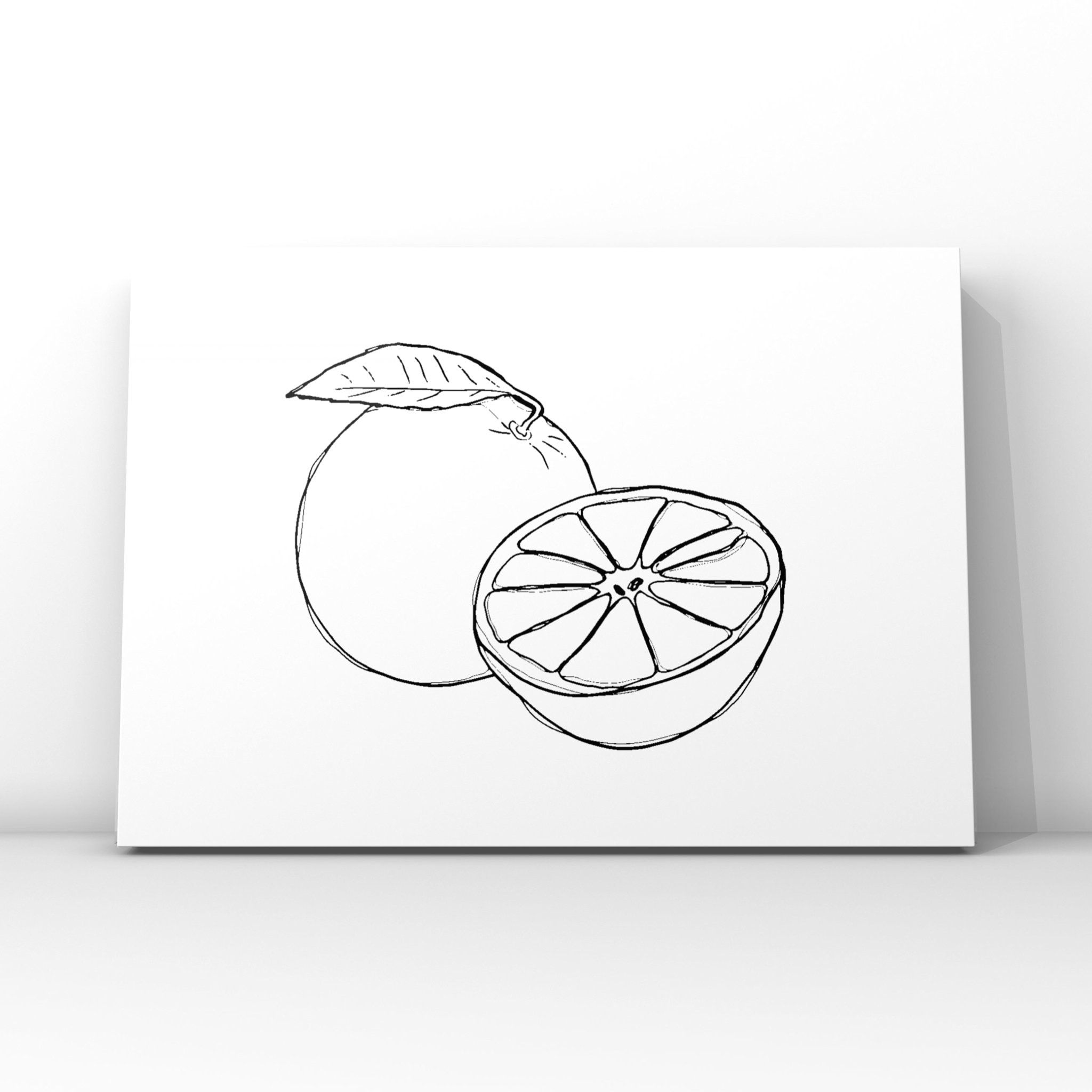 Orange Fruit Line Drawing