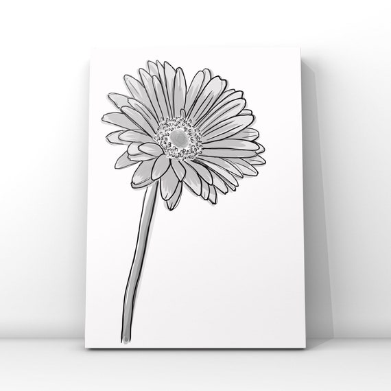 Simple Gerbera Daisy Drawing