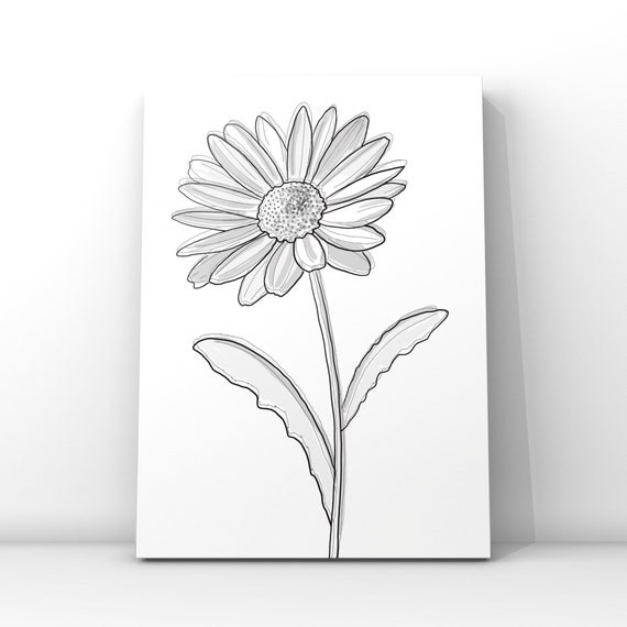 Single Daisy Flower Drawing