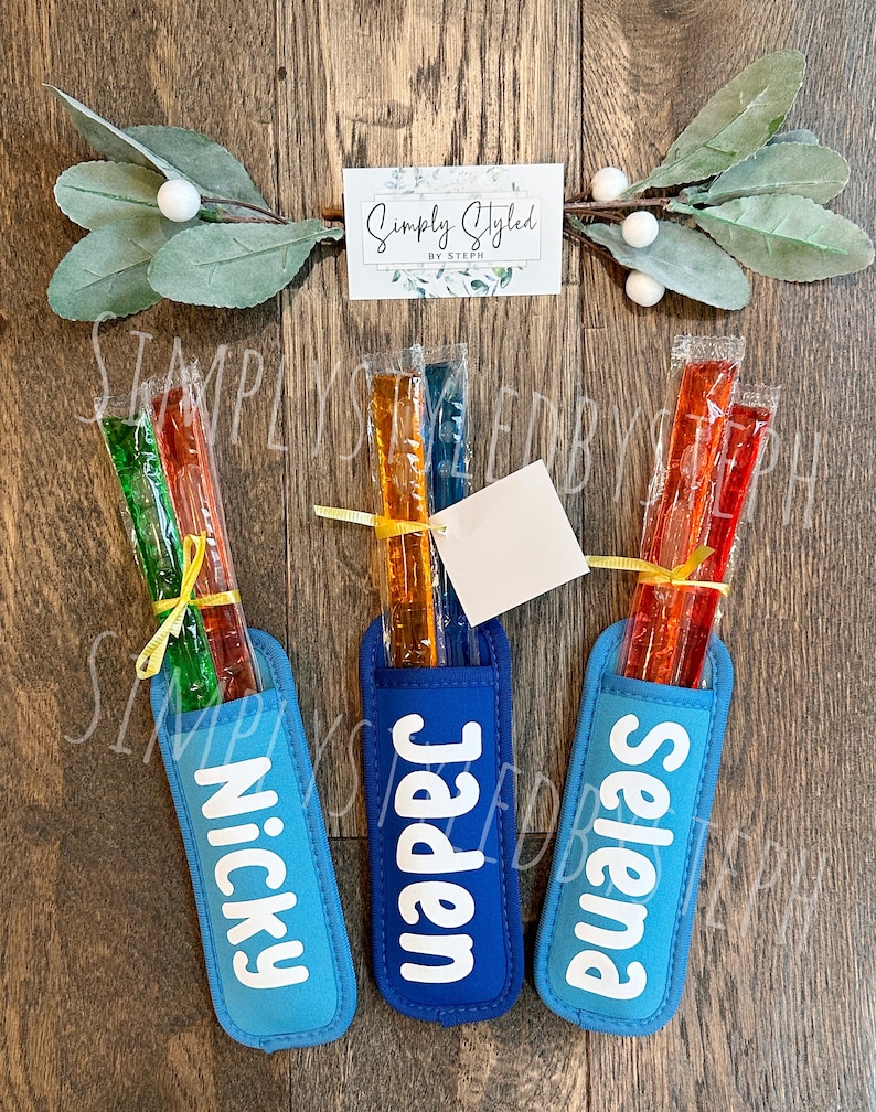 NEW! Ice Pop Holders, Yogurt Go-gurt Freezer Pouch, Birthday Favors ...
