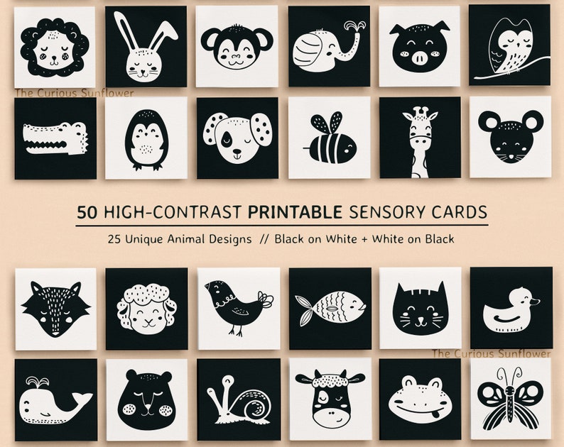 50 Animal High Contrast Baby Cards: Black and White Montessori Sensory ...