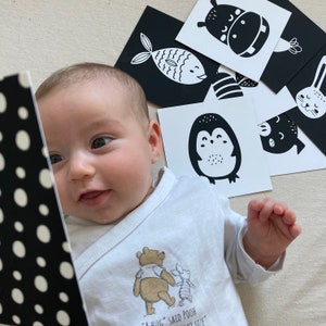 50 Animals High Contrast Baby Cards in Black and White - Printable ...