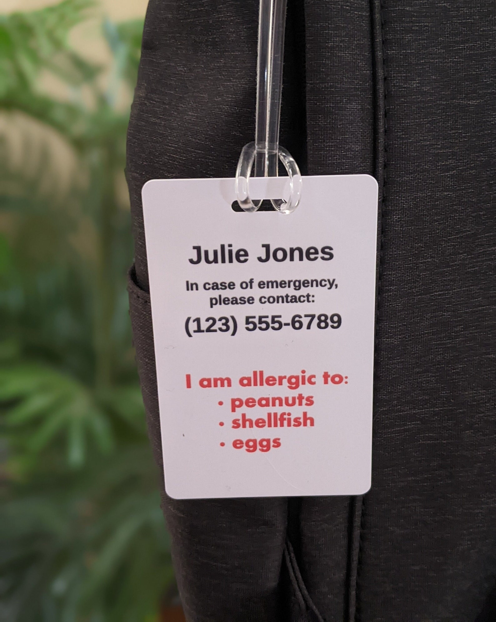 Custom Allergy Alert Bag Tag, Epi Pen Carrier, Allergen List, in Case ...